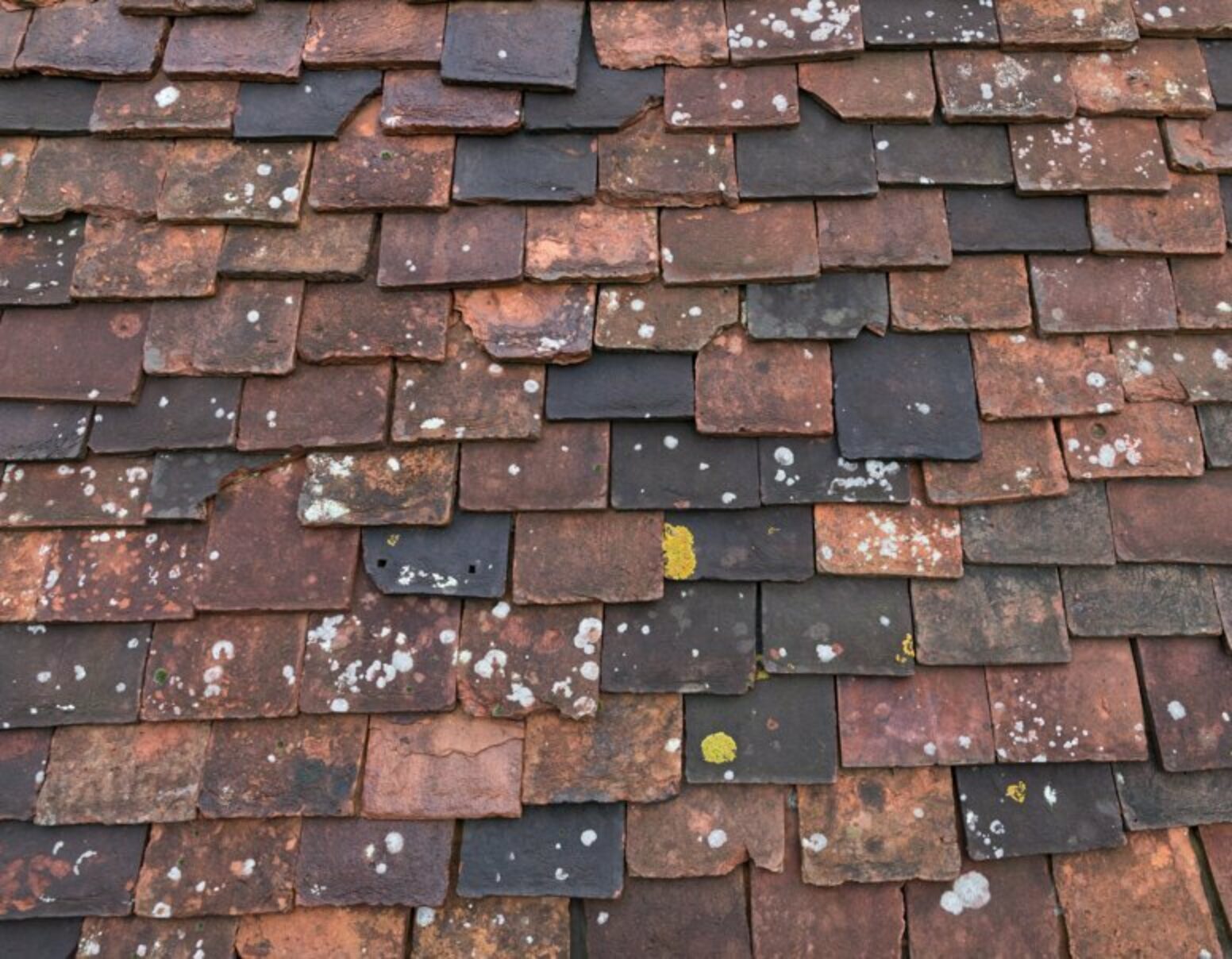 Hoe voorkom je een stadsbrand... - Erfgoedweb Breda